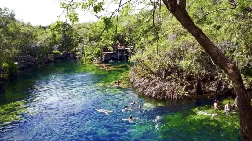 Cenote Azul Riviera Maya - All You Need To Know, Safety Tips