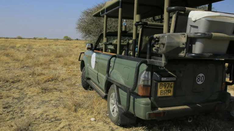 Safari in Africa All You Need To Know Packages and Costs 2025